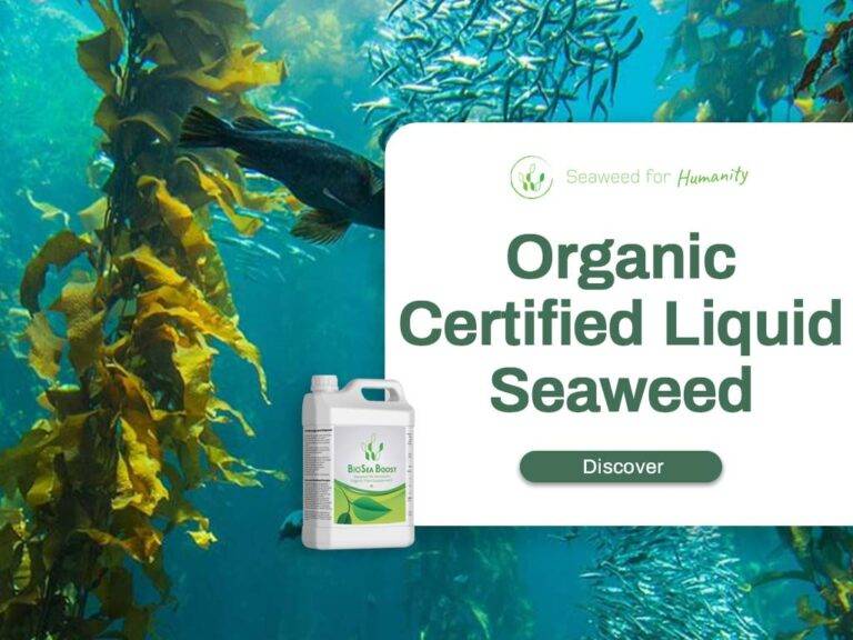 Organic Certification Biosea Boost - Certified for Your Health