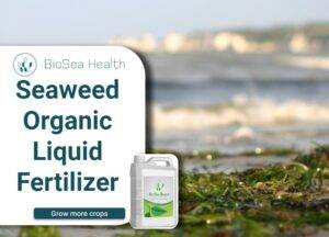 Organic Fertilizers – Plant Biostimulants - BioSea Boost
